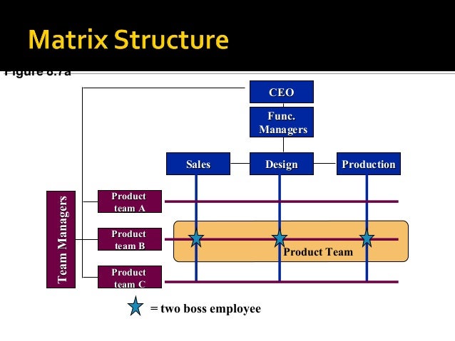 Organizational structure by shas production
