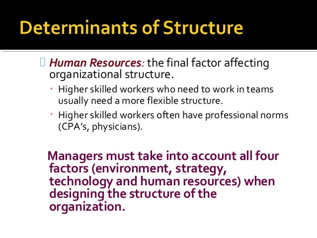 Organizational structure by shas production