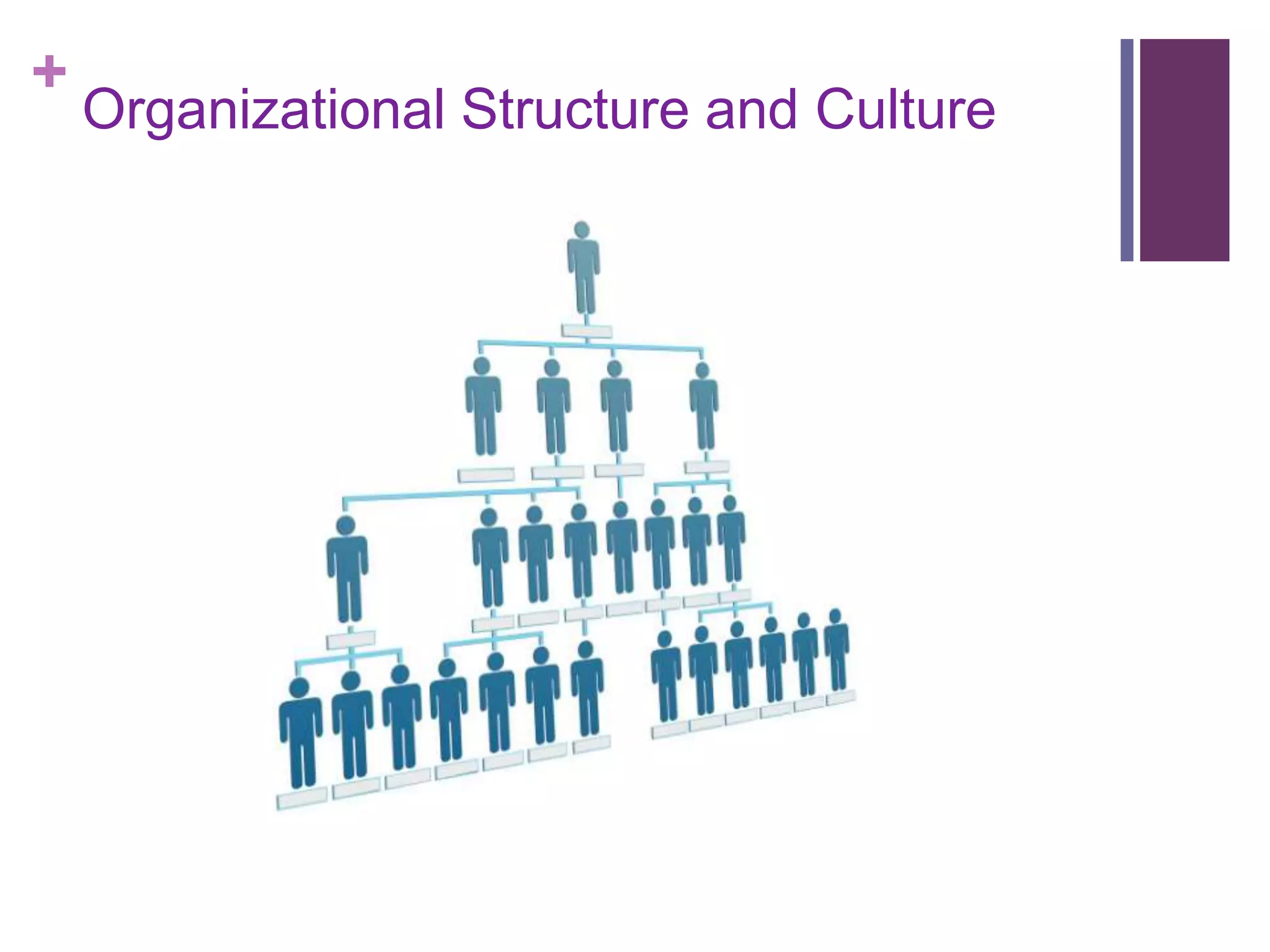Organizational Structure&Culture | PPTX
