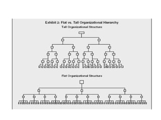 Organizational structure design | PPT