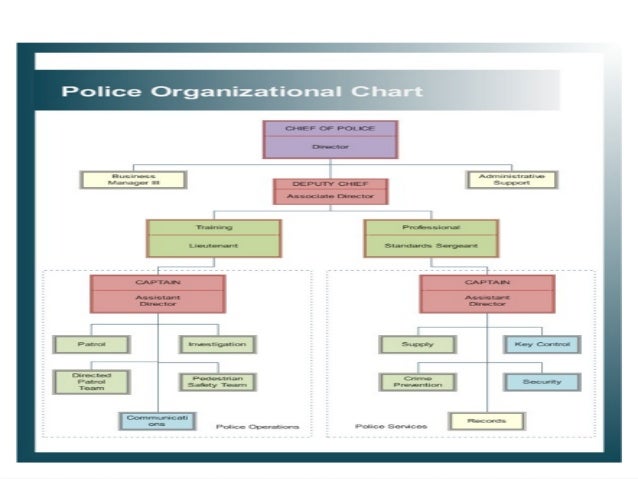 naza group organization chart - Bernadette Tucker