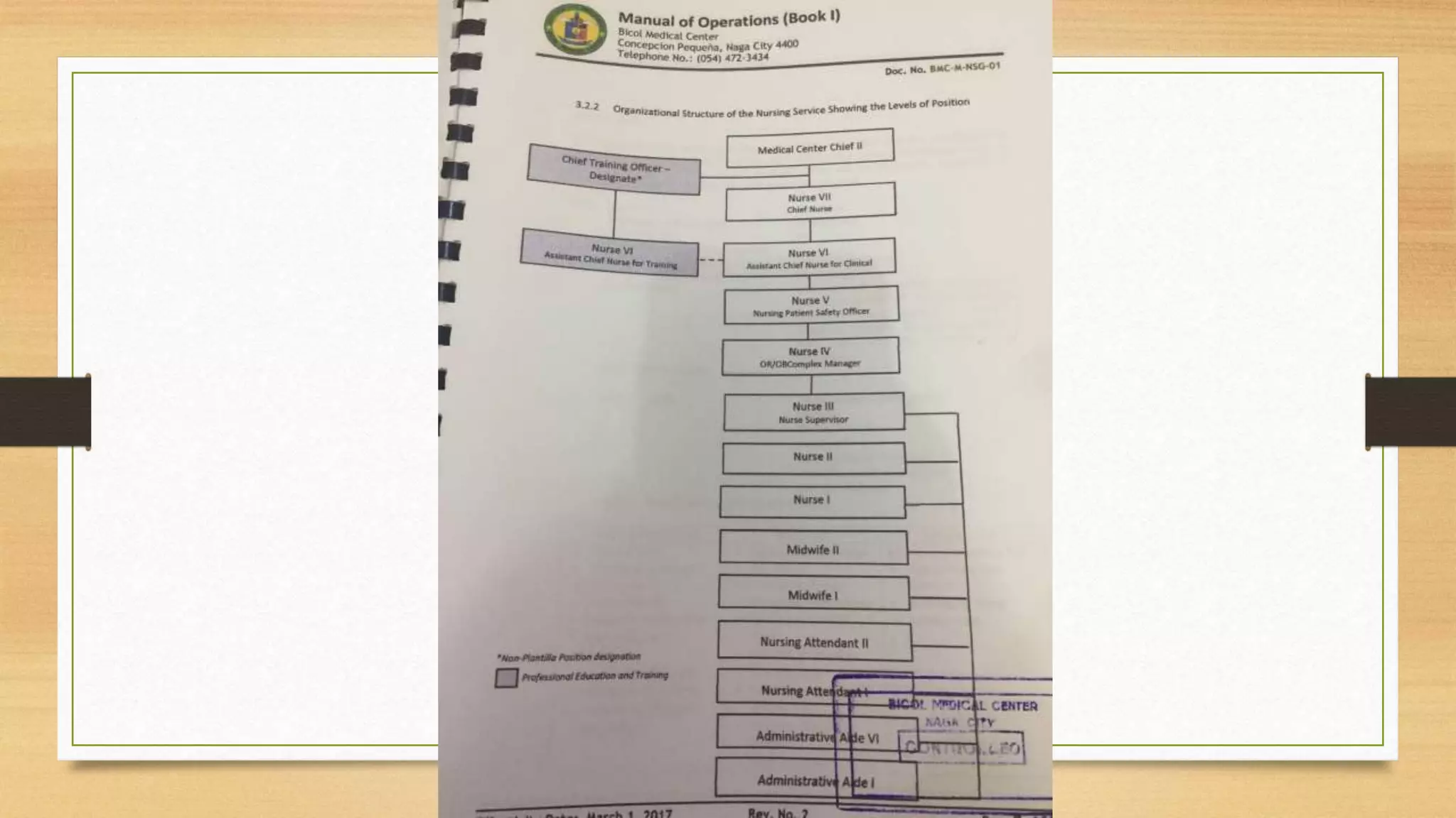 Organizational structure NURSING | PPTX