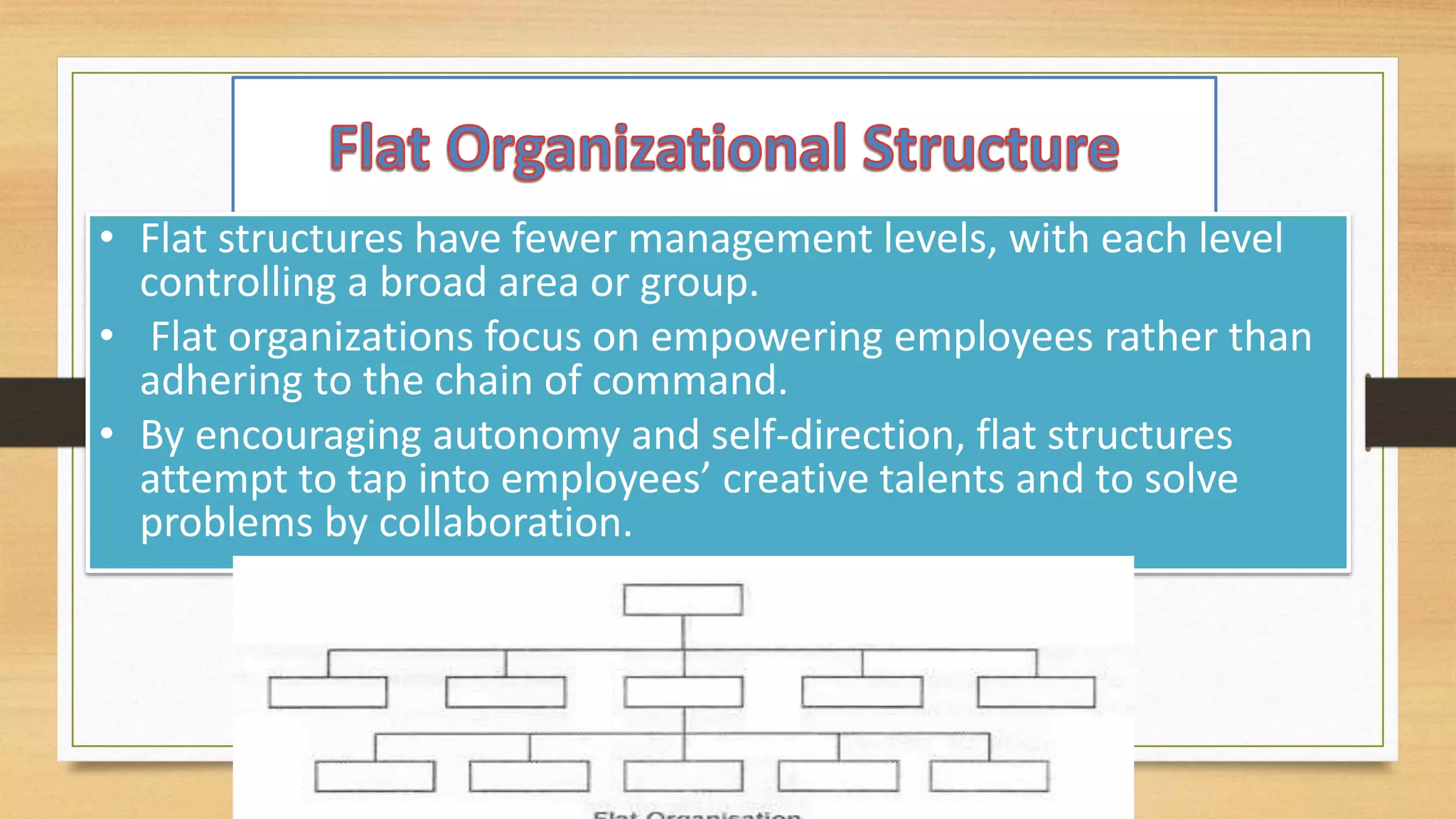 Organizational structure NURSING | PPTX