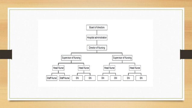 Organizational structure NURSING | PPTX