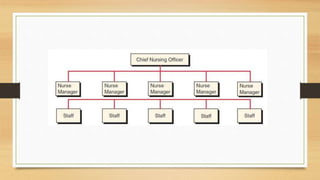 Organizational structure NURSING | PPTX