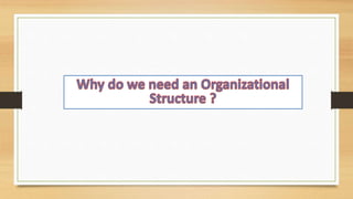 Organizational structure NURSING | PPTX