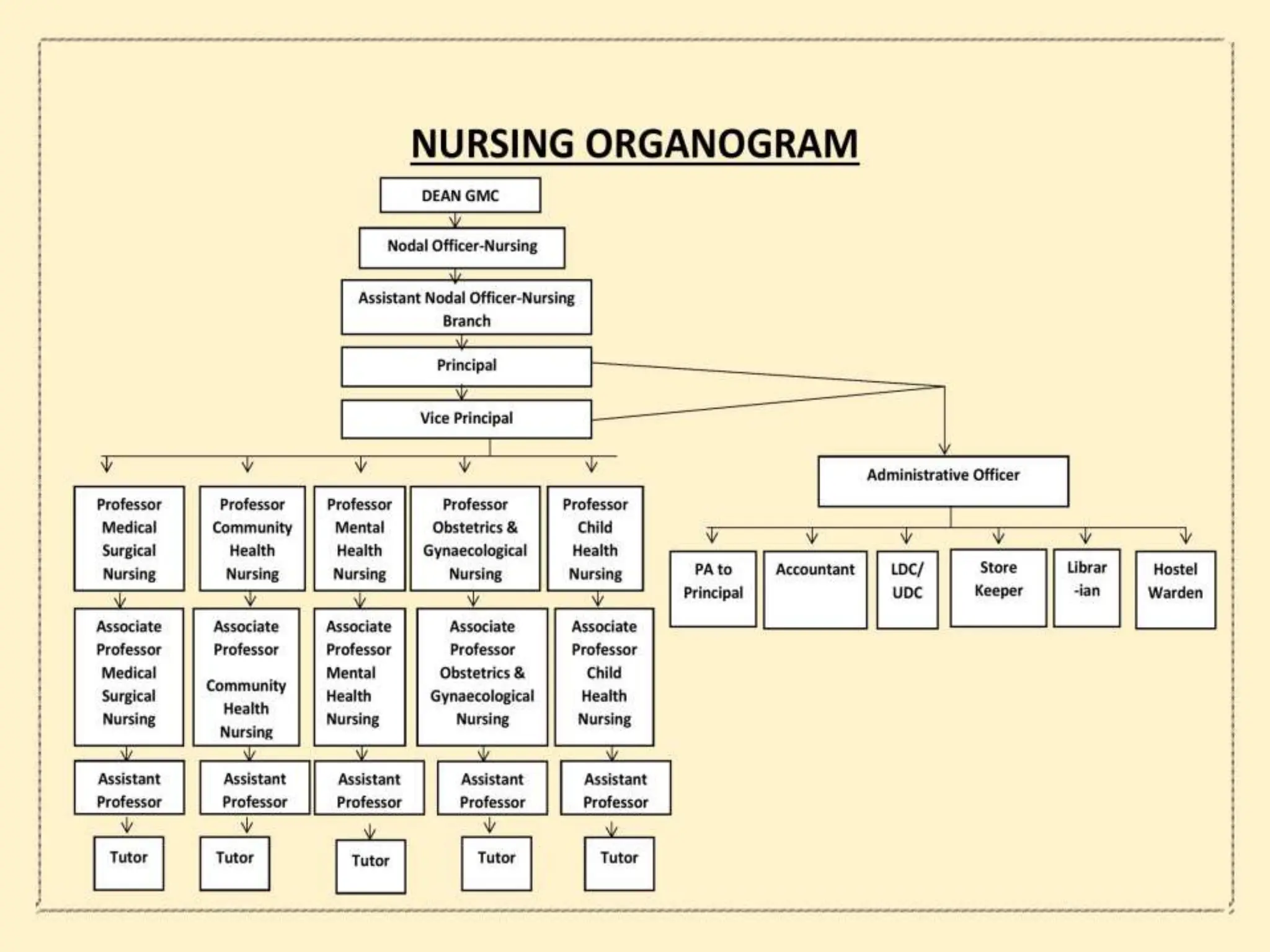 organizational structure in nursing managements | PPTX