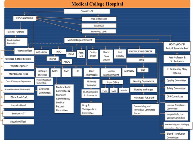 organizational structure in nursing managements | PPTX | Business ...