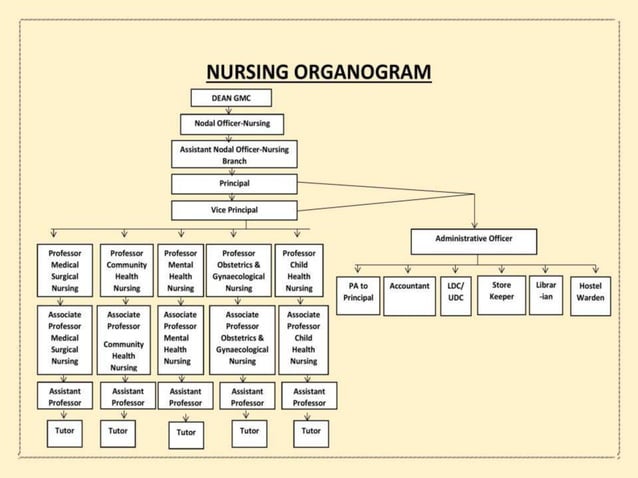 organizational structure in nursing managements | PPTX | Business ...