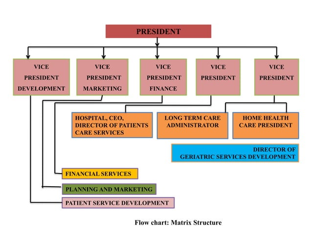 organizational structure in nursing managements | PPTX | Business ...