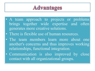 organizational structure in nursing managements | PPTX