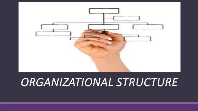 Organizational structure of Adani