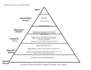 Organizational Structure Of A Hospital[1] | DOC