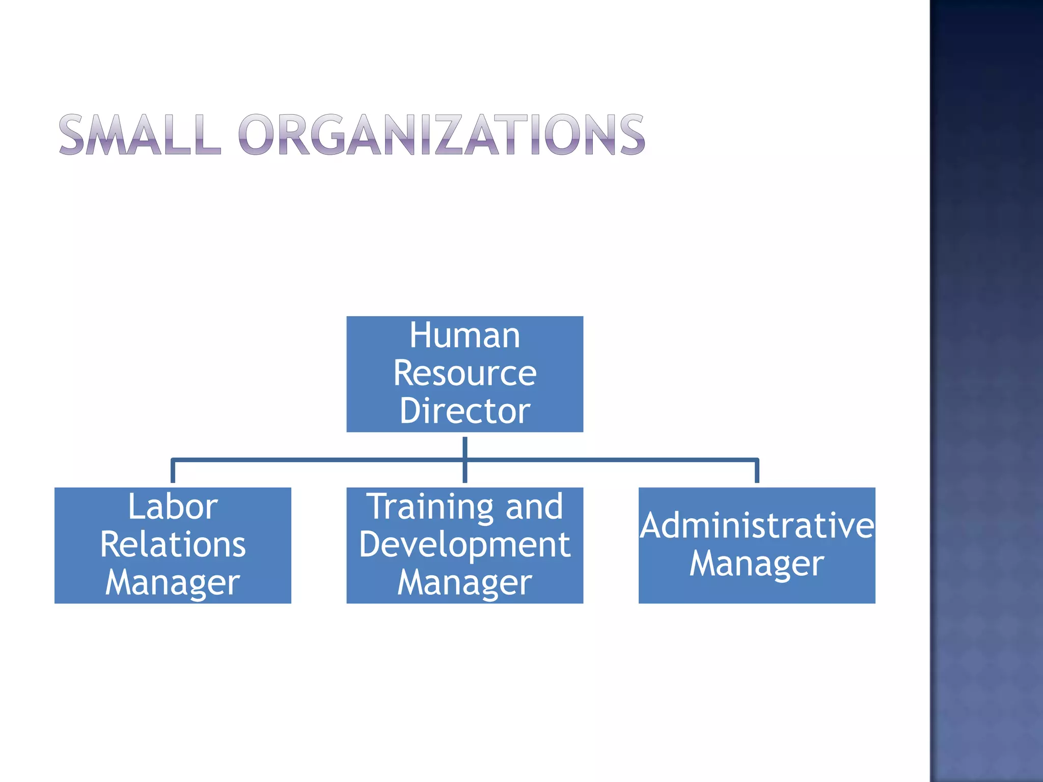 Organizational structure of a human resource department | PPTX