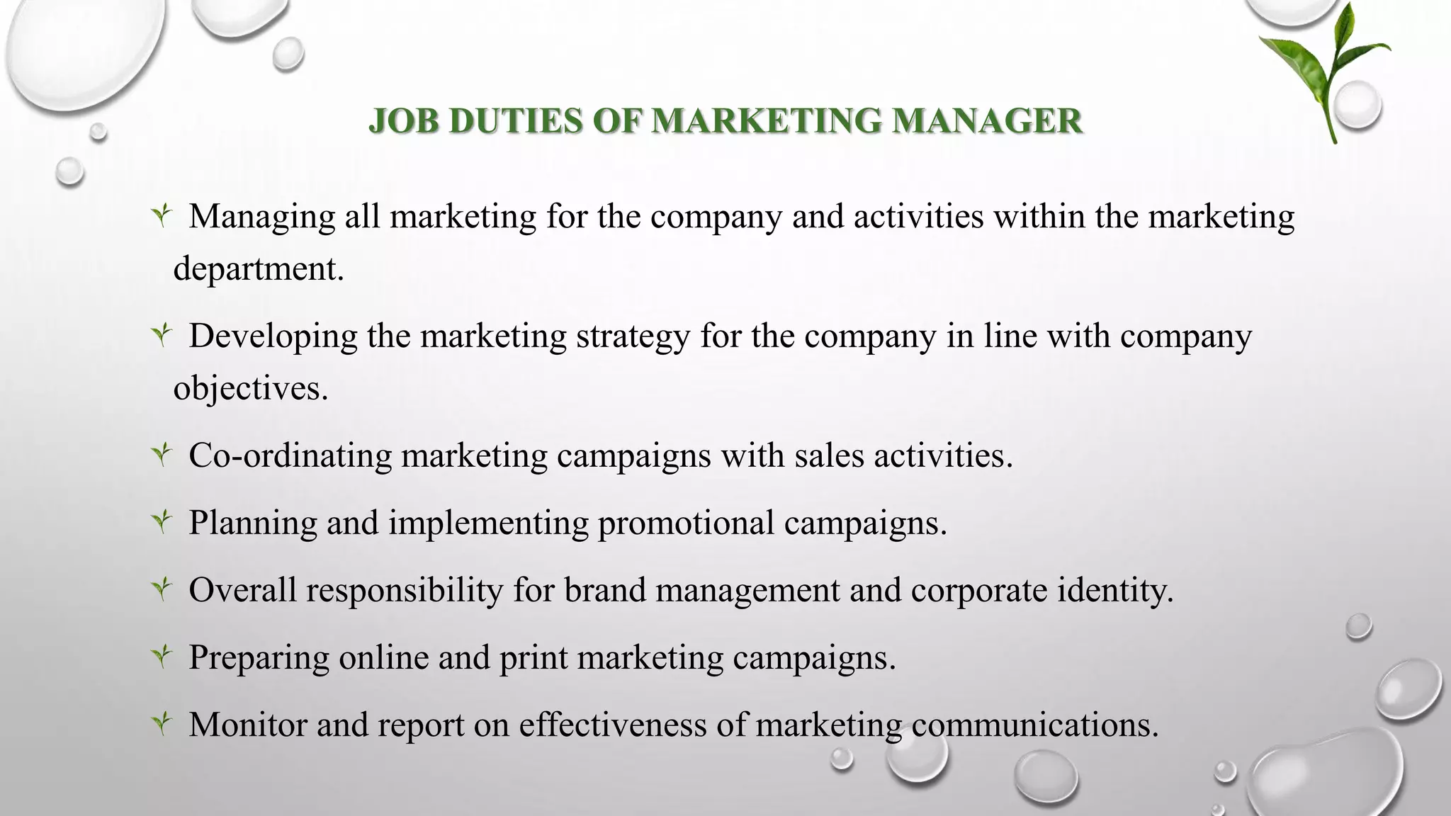 Organizational structure of a tea company | PPTX