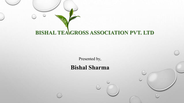 Organizational structure of a tea company | PPTX