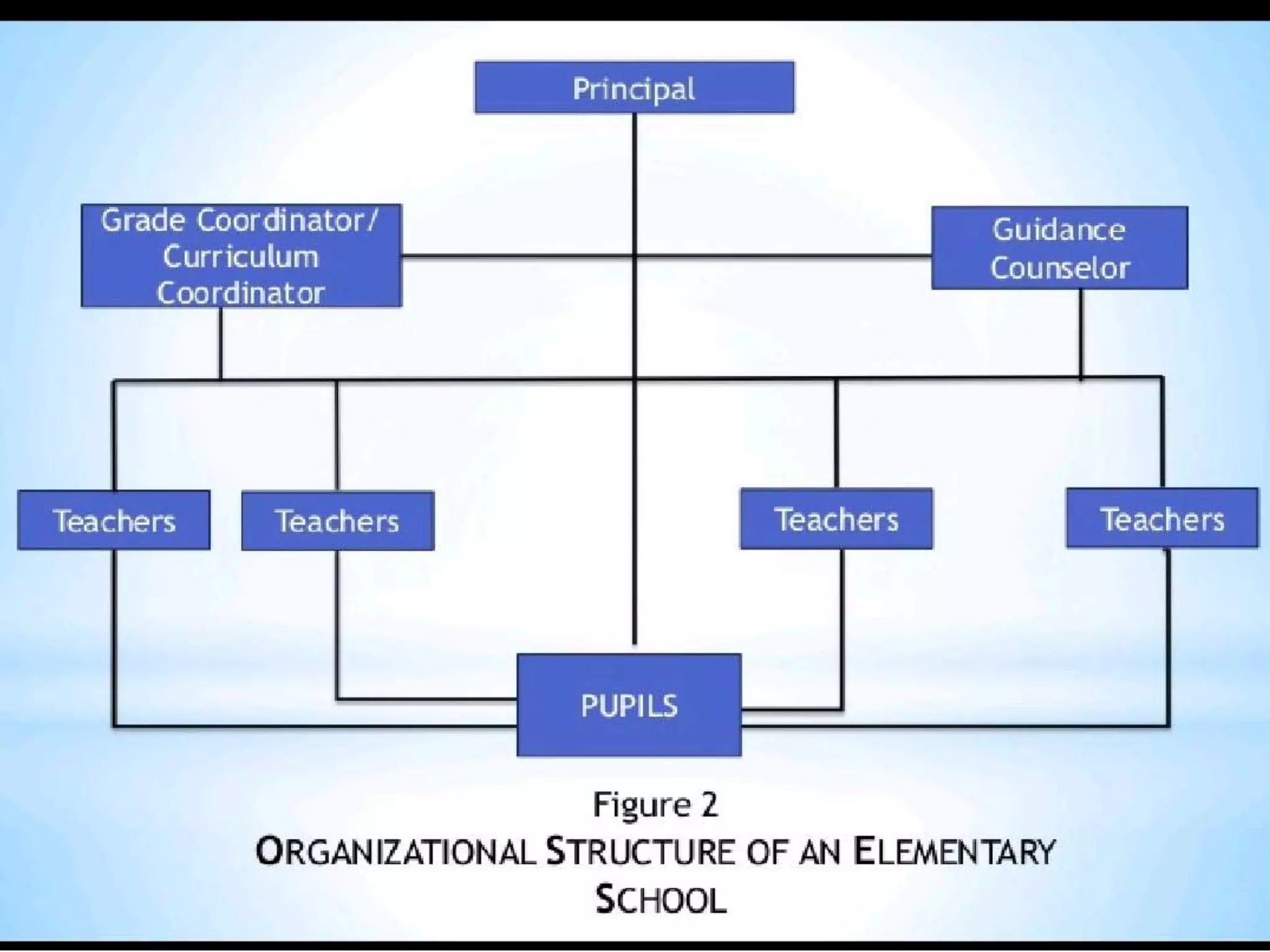 Organizational structure of education | PPTX
