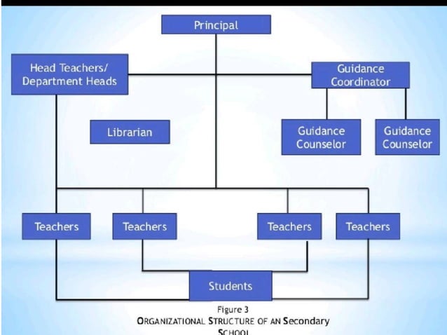 Organizational structure of education | PPTX | Professional School ...