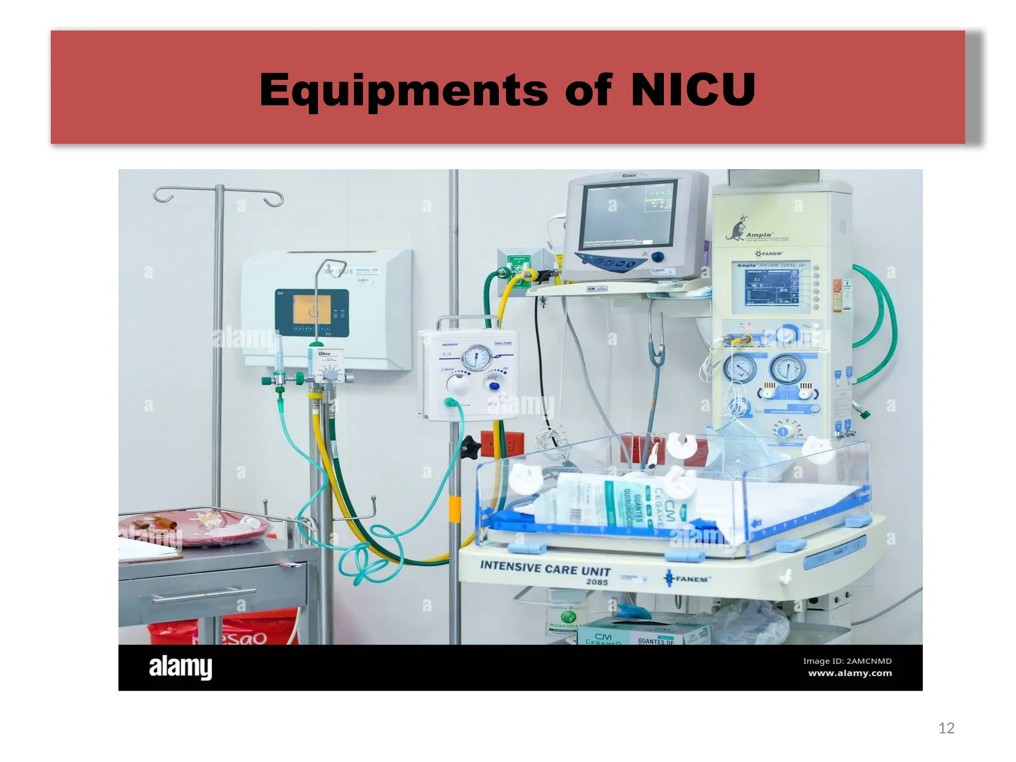 Topic: Organizational Structure of NICU.pptx