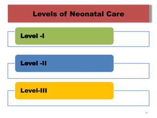 Topic: Organizational Structure of NICU.pptx