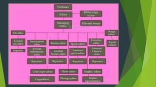 Organizational Structure of NP.pptx