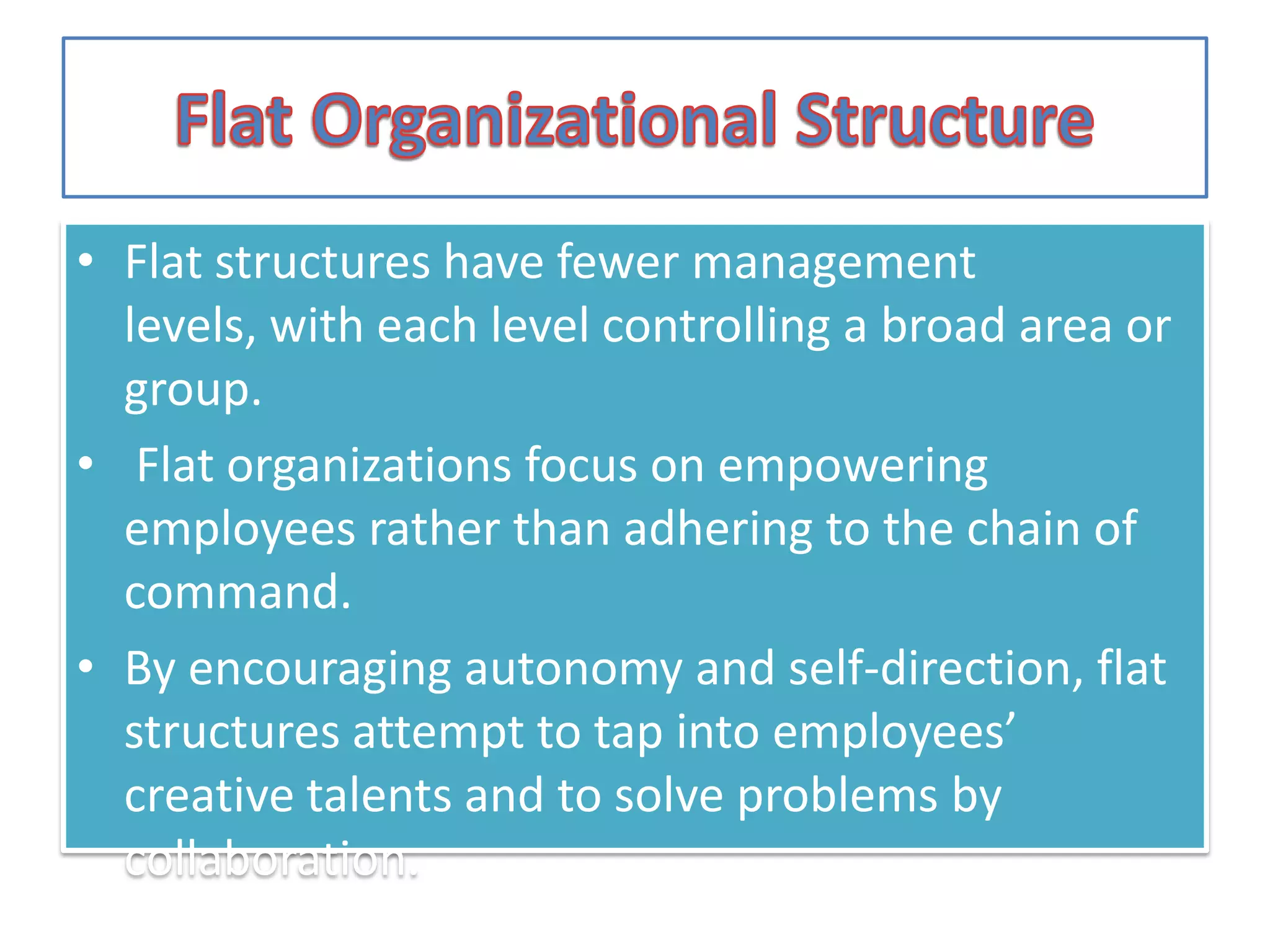 Organizational structure ppt | PPTX