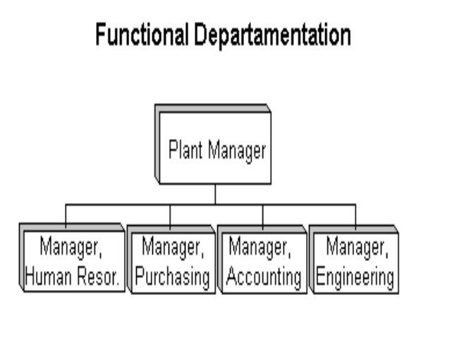 Organizationalstructureppt