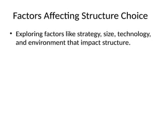 Organizational_Structure_Presentation.pptx