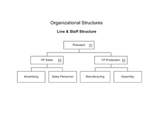 Common organizational structures | PDF