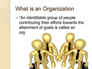 Organizational structures | PPTX