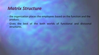 Organizational structures | PPTX