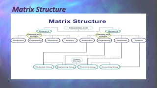 Organizational structures | PPTX