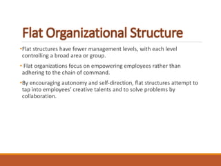 Organizational structures and departmentation | PPT