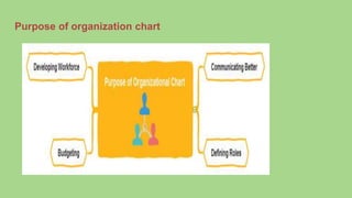 Organizational Theories.pptx