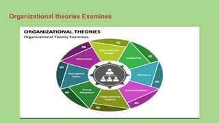 Organizational Theories.pptx