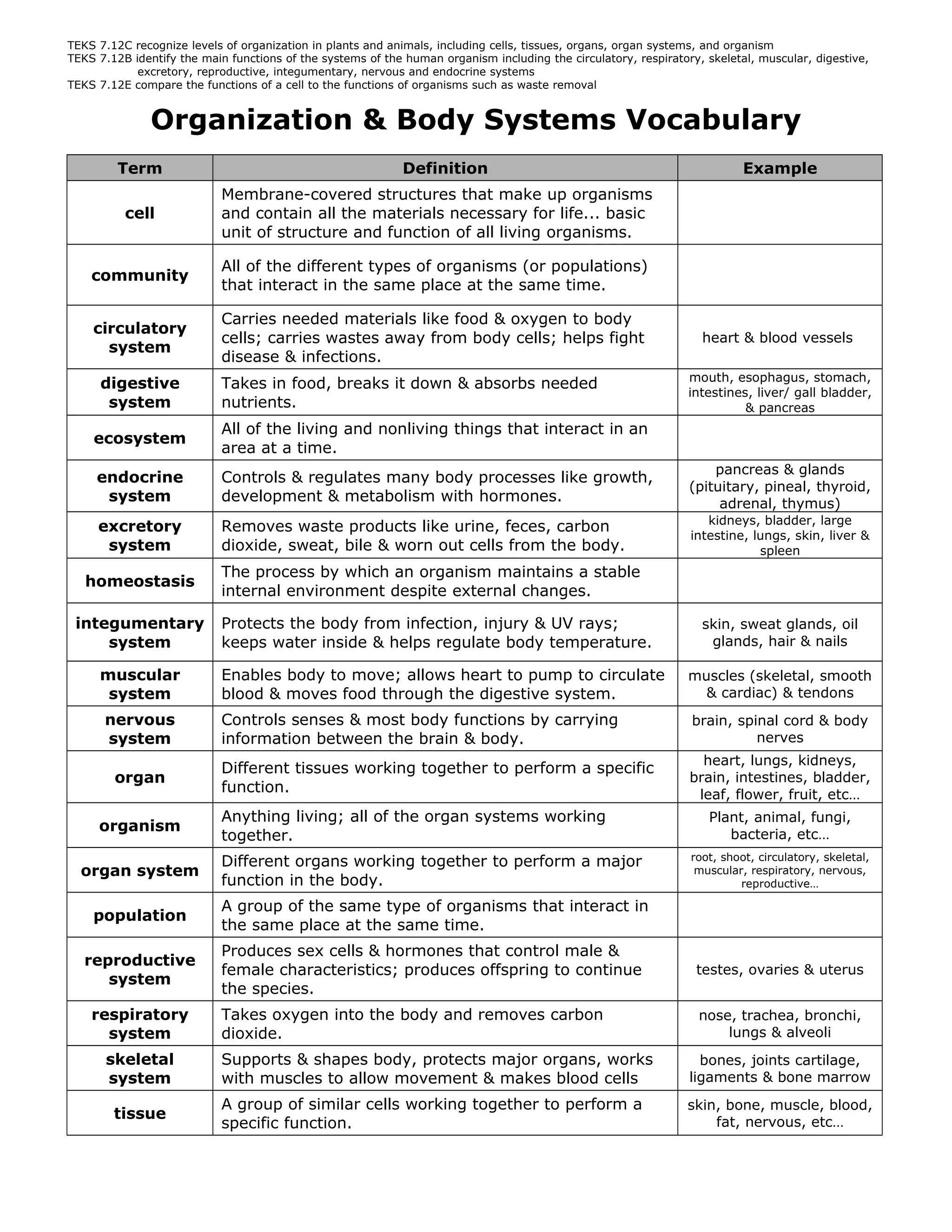 Organization and body systems unit vocabulary | PDF