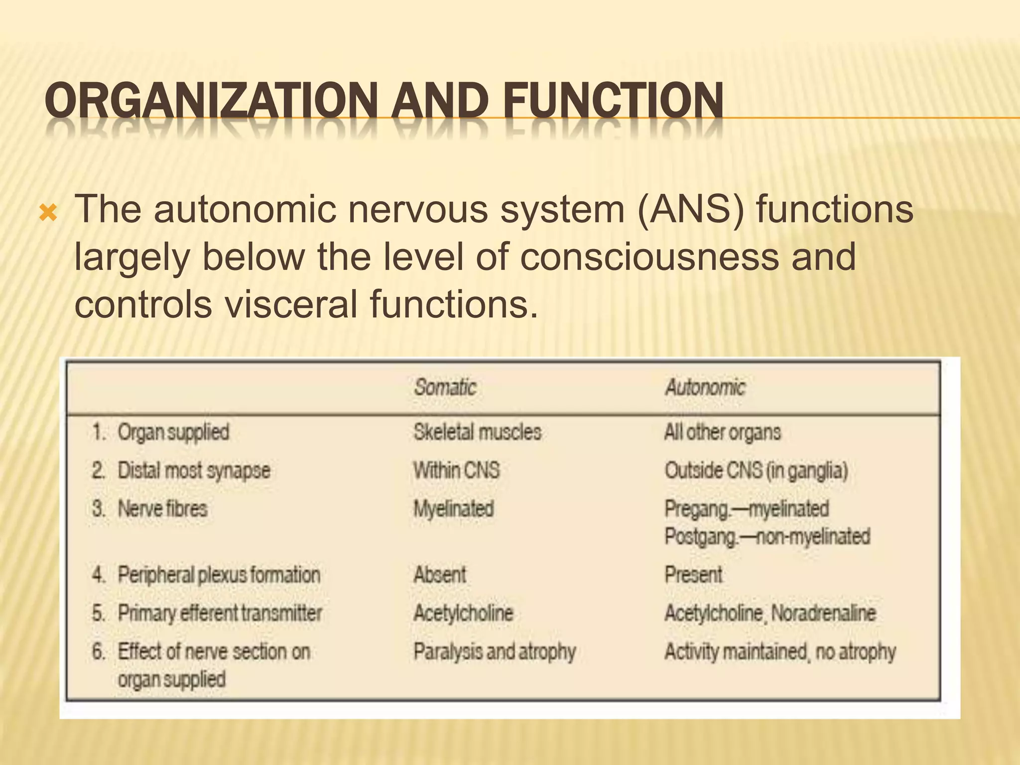 Organization and function of ans | PPTX