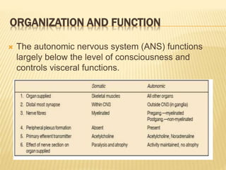 Organization and function of ans | PPTX