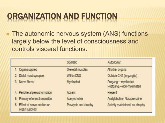 Organization and function of ans | PPTX | Brain and Nervous System Disorders | Diseases and ...
