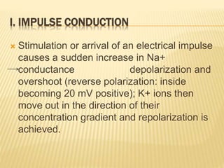 Organization and function of ans | PPTX