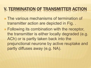 Organization and function of ans | PPTX