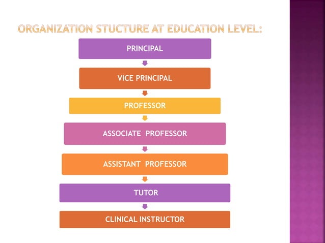 Organization and functions of nursing srvices and education | PPTX