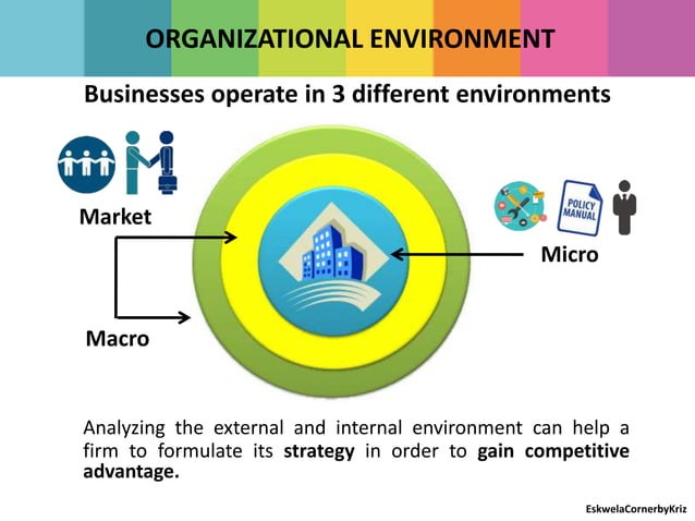 Organization and its environment | PPT | Environment | Science