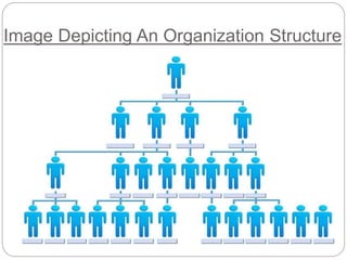 Organization and its forms | PPTX
