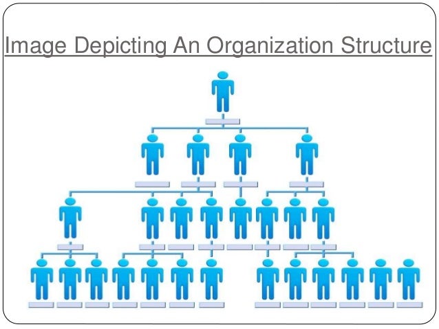 Organization and its forms