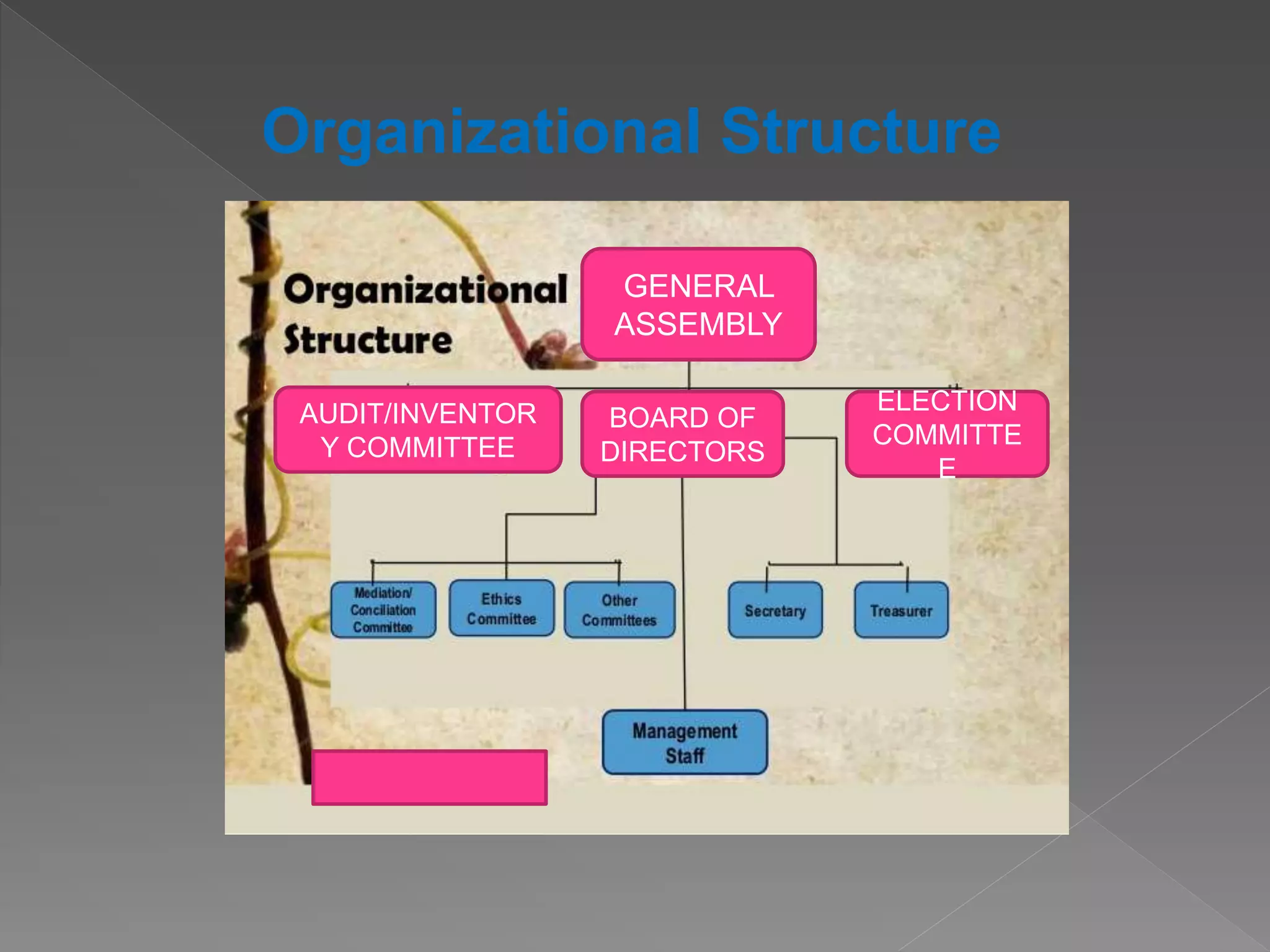 Organization and management of cooperatives | PPTX