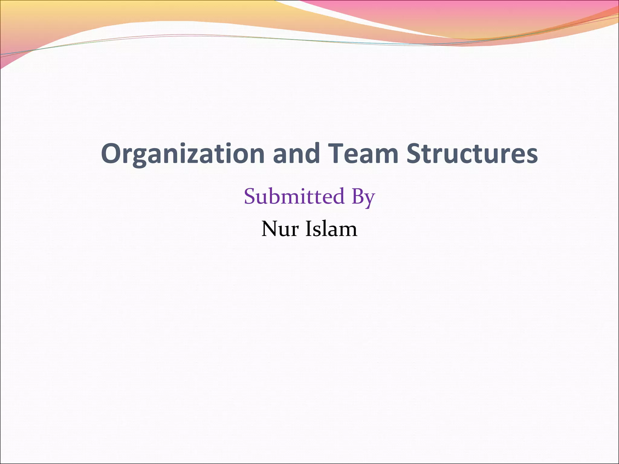 Organization and team structures | PPT