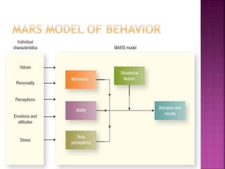 Organization behavior | PPT