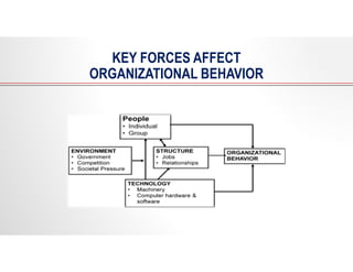Organization behavior | PDF