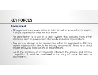 Organization behavior | PDF